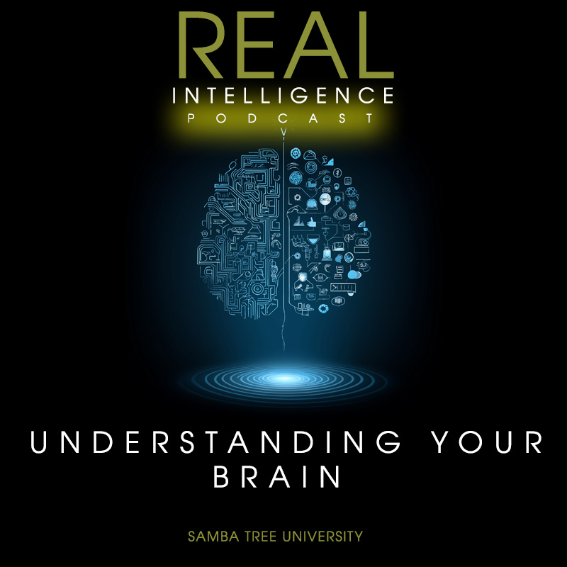 REAL Intelligence: Introduction (Brain Series) - Journey Man and Woman